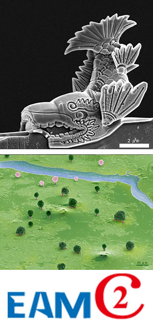 Poster Presentation – EAMC2